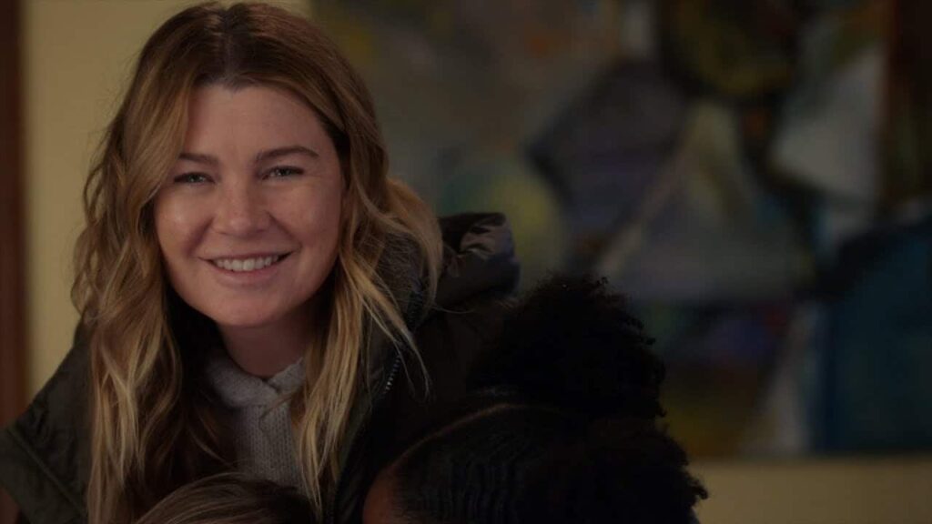 Meredith Grey: antes y después de la transformación - En El Ajo En El Ajo